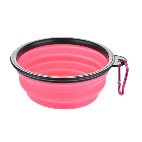 Portable Folding Bowl | BIZWIN NZ